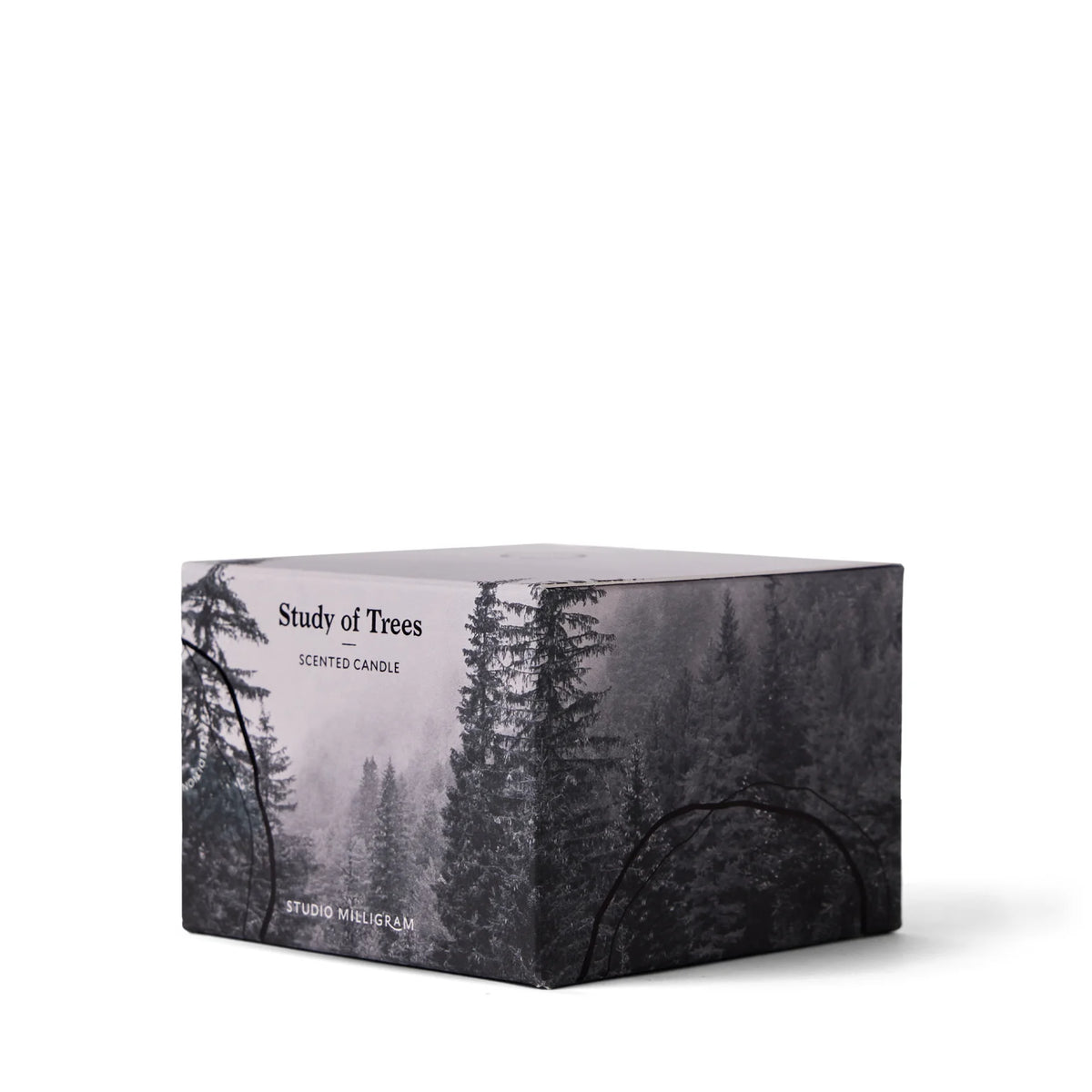 Study of Trees Limited Edition Candle | Sage Scent | The Lab Organics