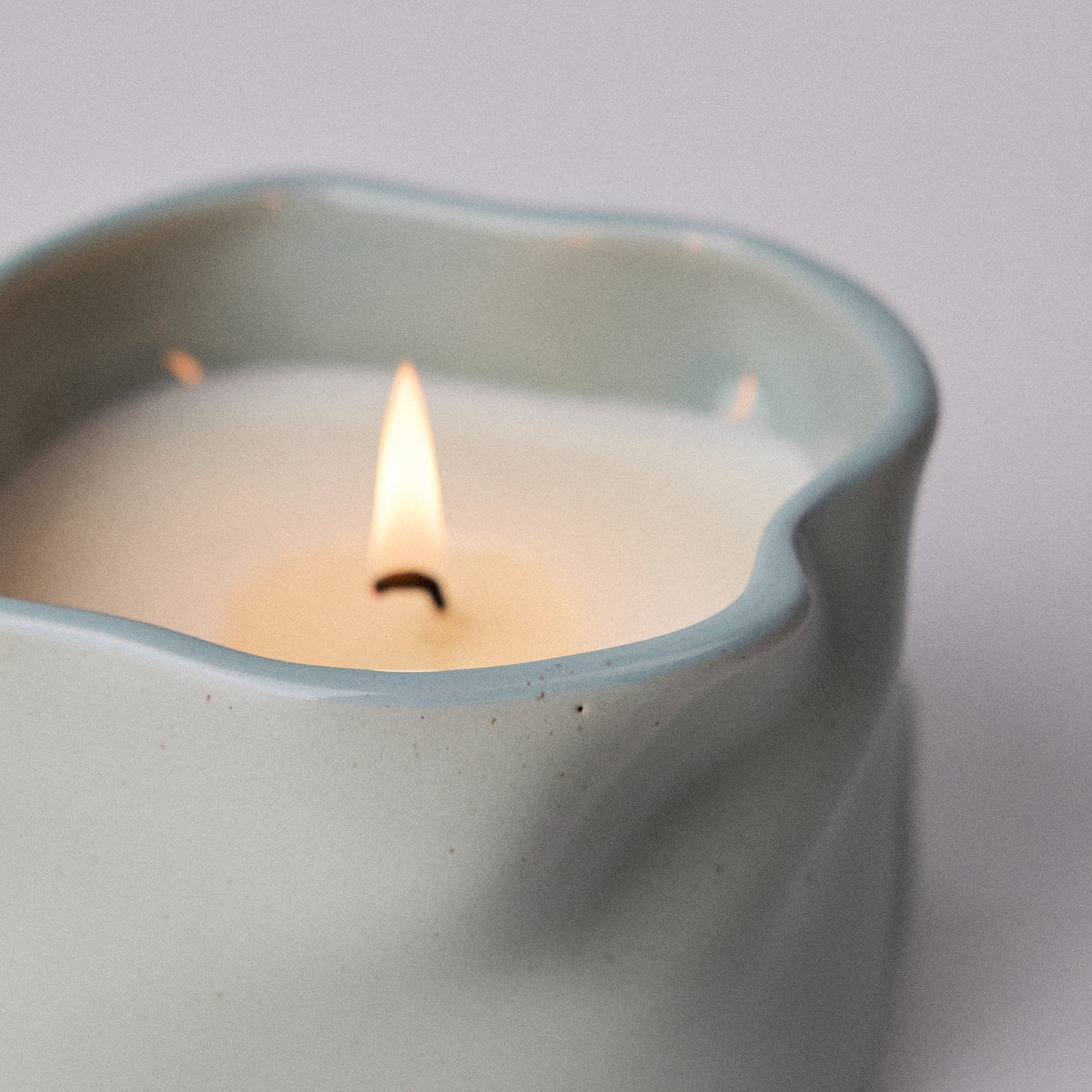 Study of Trees Limited Edition Candle | Sage Scent | The Lab Organics